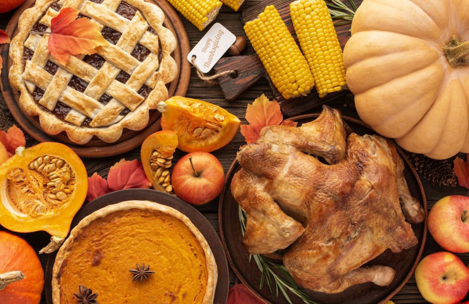 Il Giorno del Ringraziamento spiegato bene | Deabyday