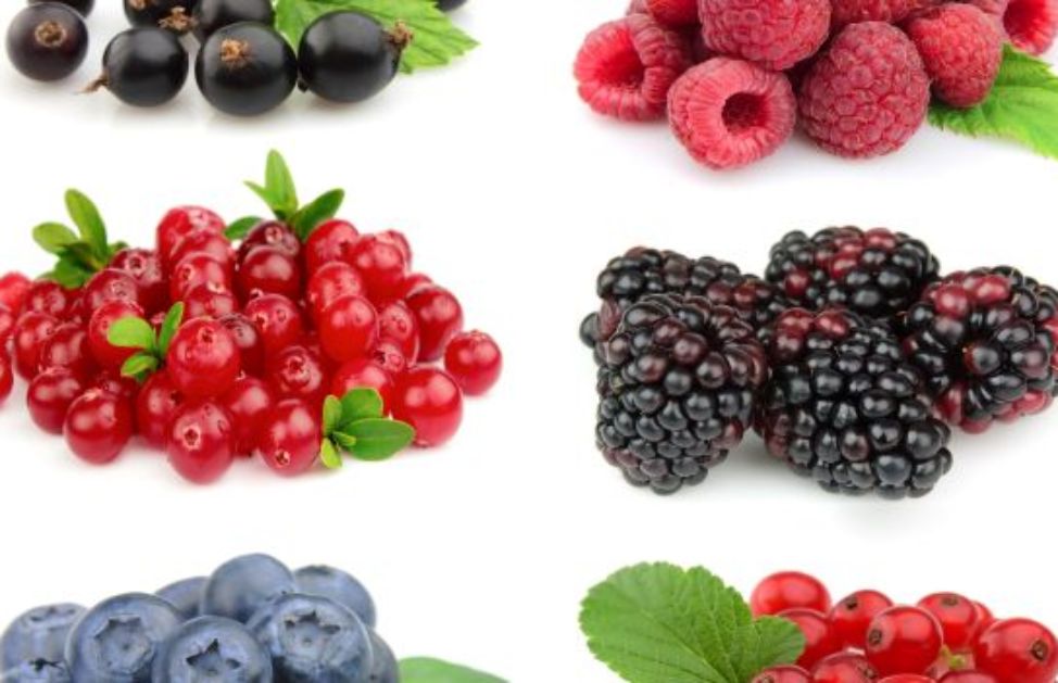 Come coltivare i frutti di bosco | DeAbyDay