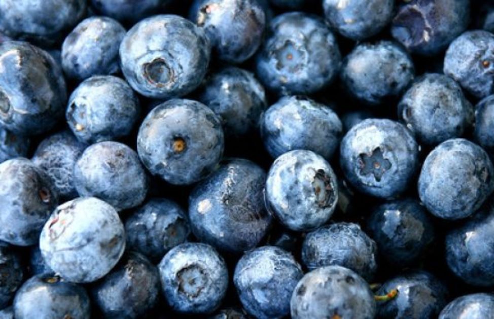 Come coltivare i mirtilli | DeAbyDay