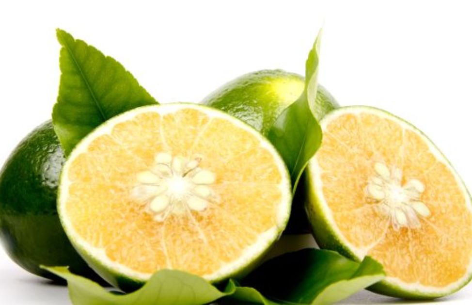 Come coltivare il mapo | DeAbyDay