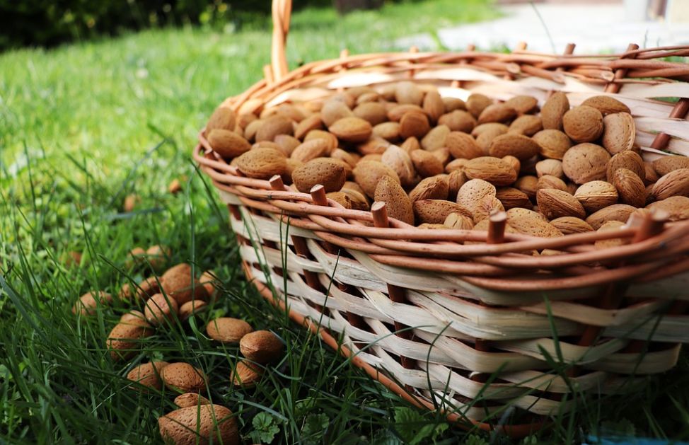 Mandorle: proprietà, benefici e come usarle in cucina | DeAbyDay