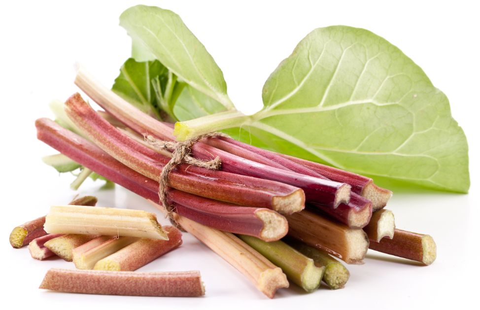 Rabarbaro: proprietà, benefici e controindicazioni | DeAbyDay